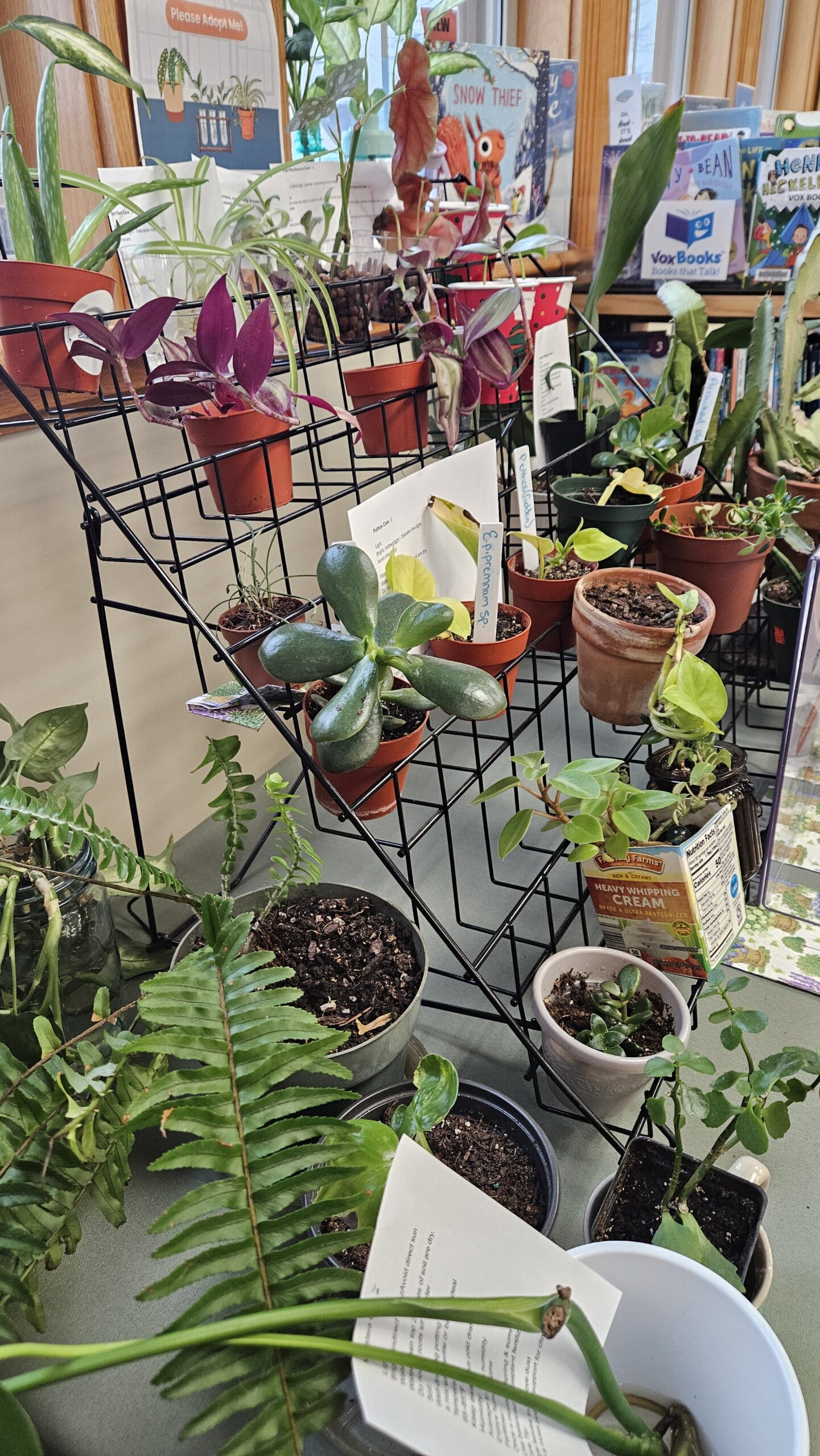 Free Houseplants – Marion Public Library
